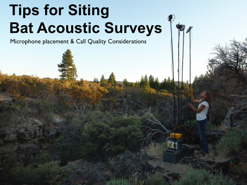 Tips for Siting Bat Detectors – Bat Conservation and Management, Inc.