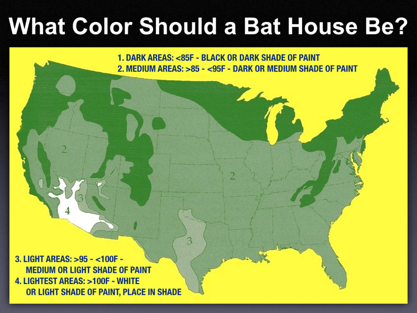 What Color Should I Paint My Bat House? – Bat Conservation and ...