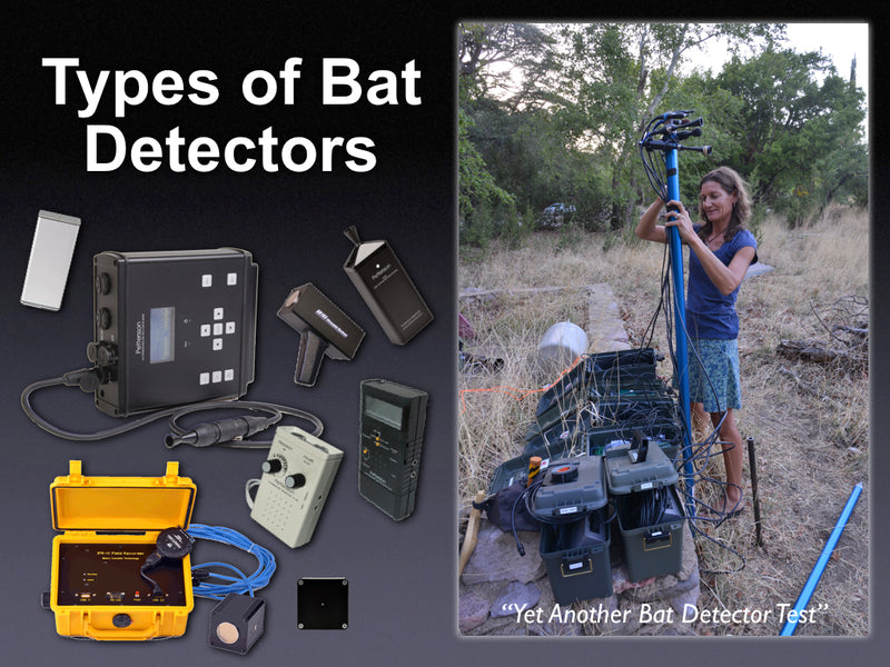 Types of Bat Detectors – Bat Conservation and Management, Inc.