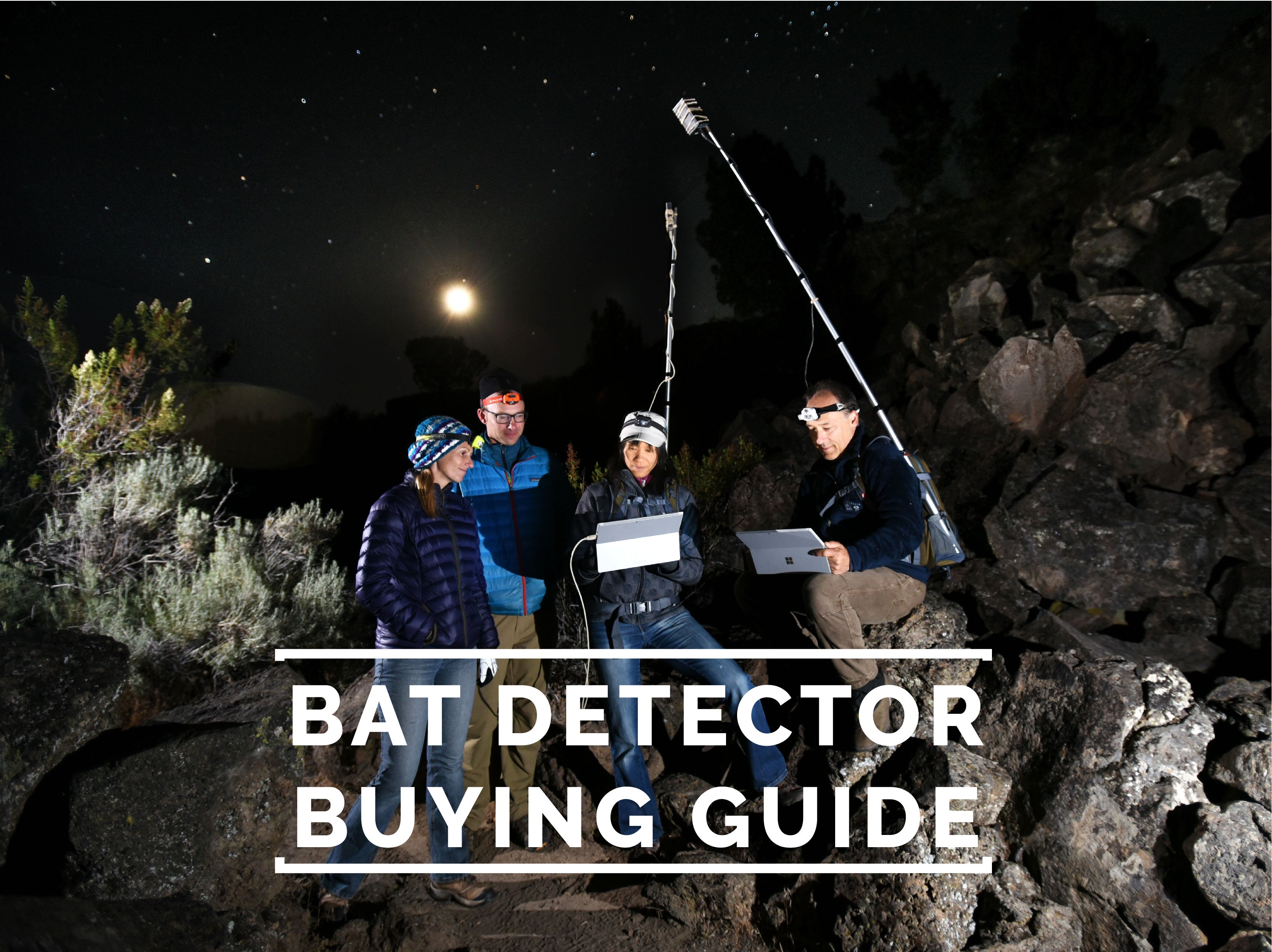 Bat Detectors - Handheld & Self Contained – Bat Conservation and ...