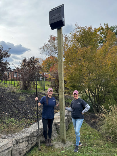 What Color Should I Paint My Bat House? – Bat Conservation and ...