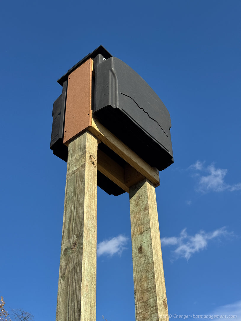 What Color Should I Paint My Bat House? – Bat Conservation and ...