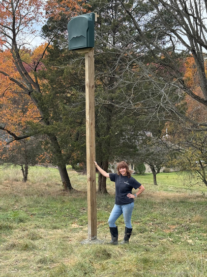What Color Should I Paint My Bat House? – Bat Conservation and ...