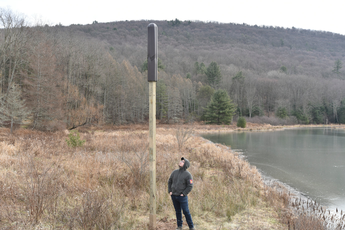 Super Rocket Roost - resin shell – Bat Conservation and Management, Inc.