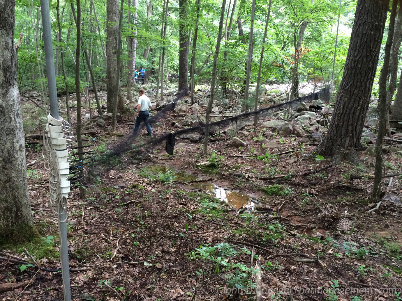 BCM Triple High Mist Net Pole System – Bat Conservation and Management ...