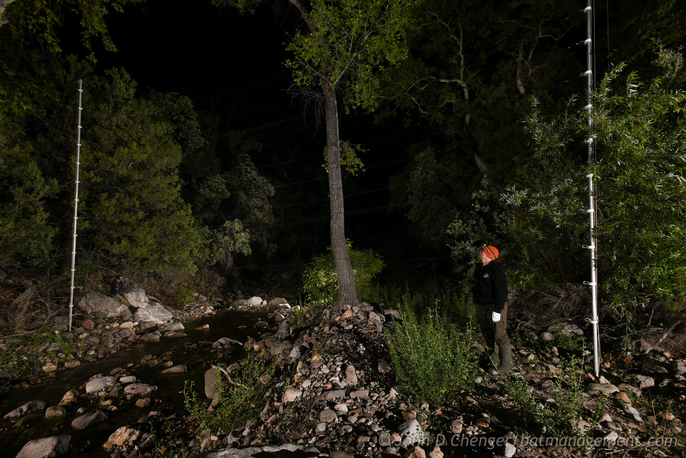 BCM Triple High Mist Net Pole System – Bat Conservation and Management ...