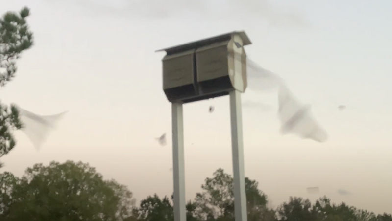 Modular Bat Condo 2x2 - Big Bat House – Bat Conservation and Management ...