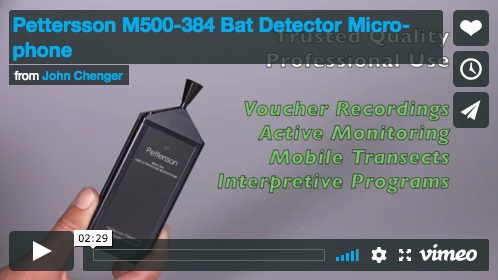 bat detector microphone