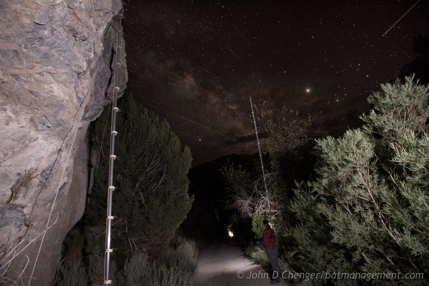BCM Triple High Mist Net Pole System – Bat Conservation and Management ...