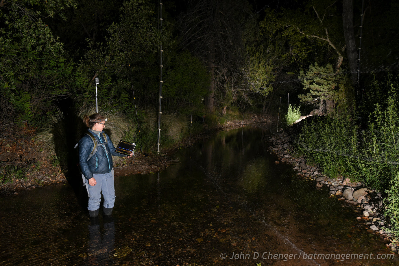 BCM Triple High Mist Net Pole System – Bat Conservation and Management ...