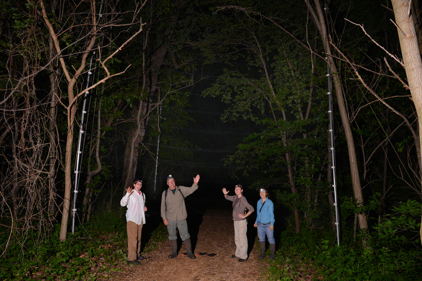 BCM Triple High Mist Net Pole System – Bat Conservation and Management ...