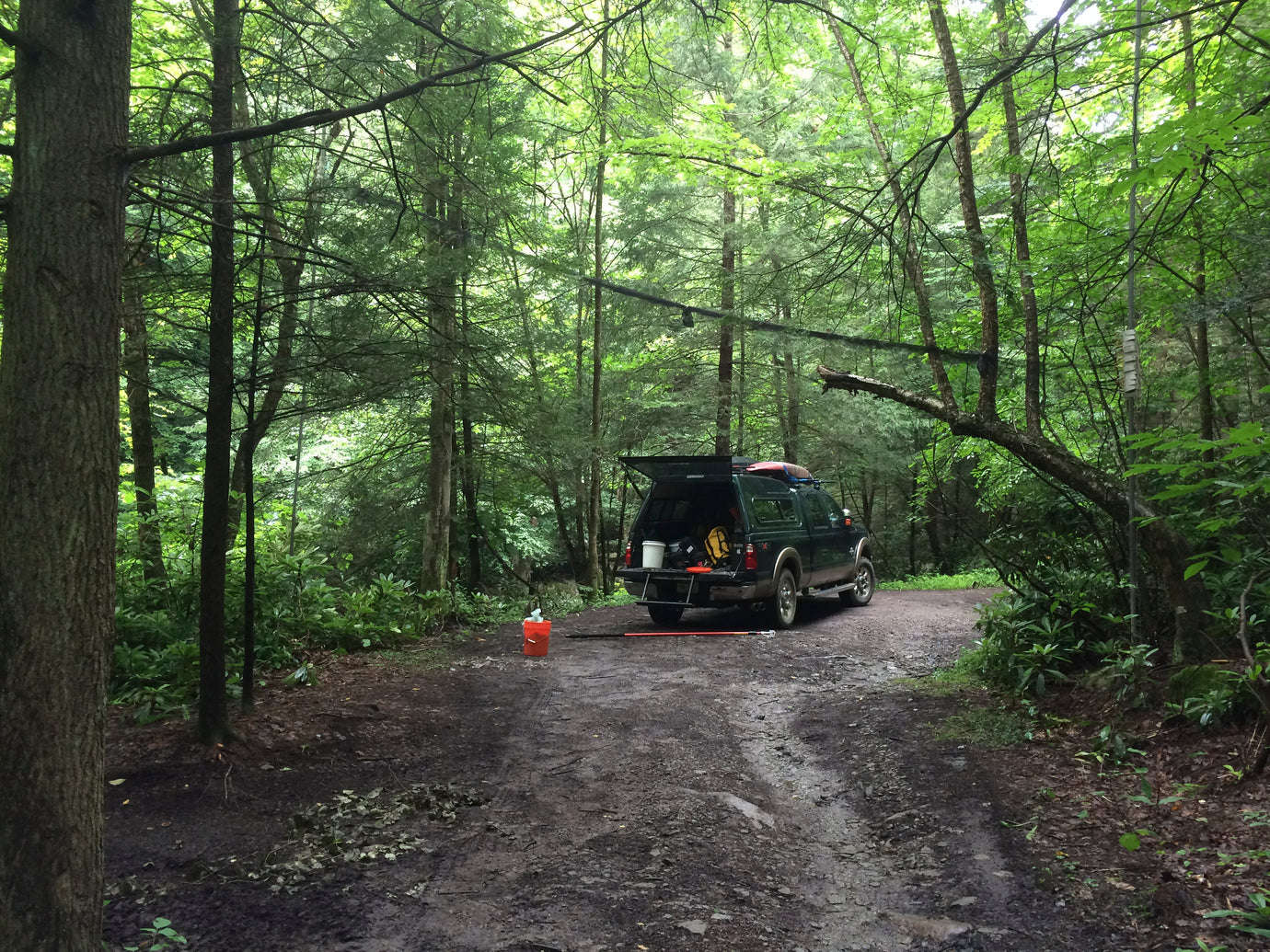 BCM Triple High Mist Net Pole System – Bat Conservation and Management ...